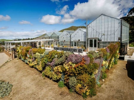 Cal Poly’s New Plant Conservatory with Biodiverse Species Officially Opens | University ...